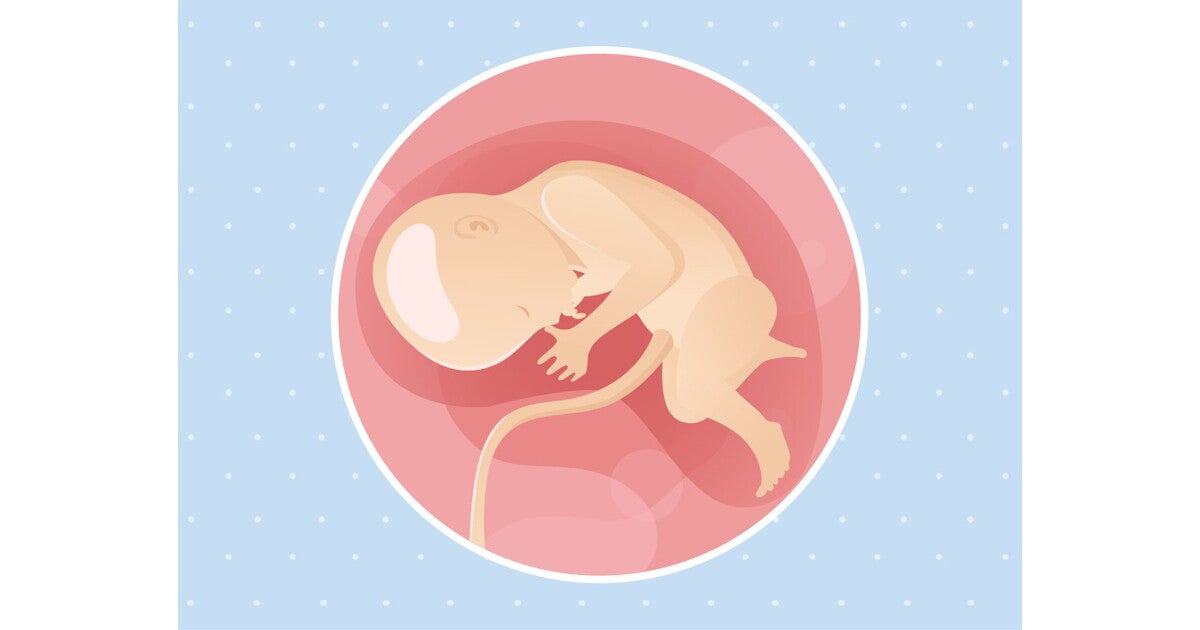 33-weeks pregnant: baby development and diet